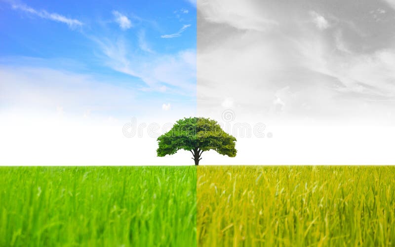 Landscape of Trees with the Changing Environment. Stock Photo - Image ...
