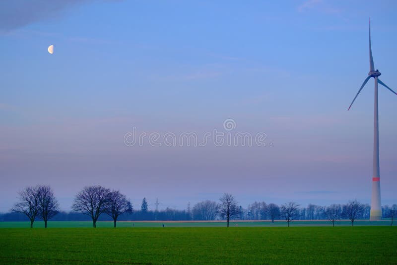 Landscape- Trees in Green Field with Moon, before Sunrise Stock Image ...