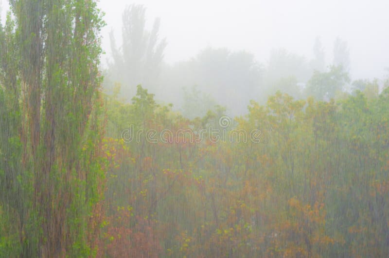 Landscape with Trees in Heavy Summer Rainstorm Stock Image - Image of ...