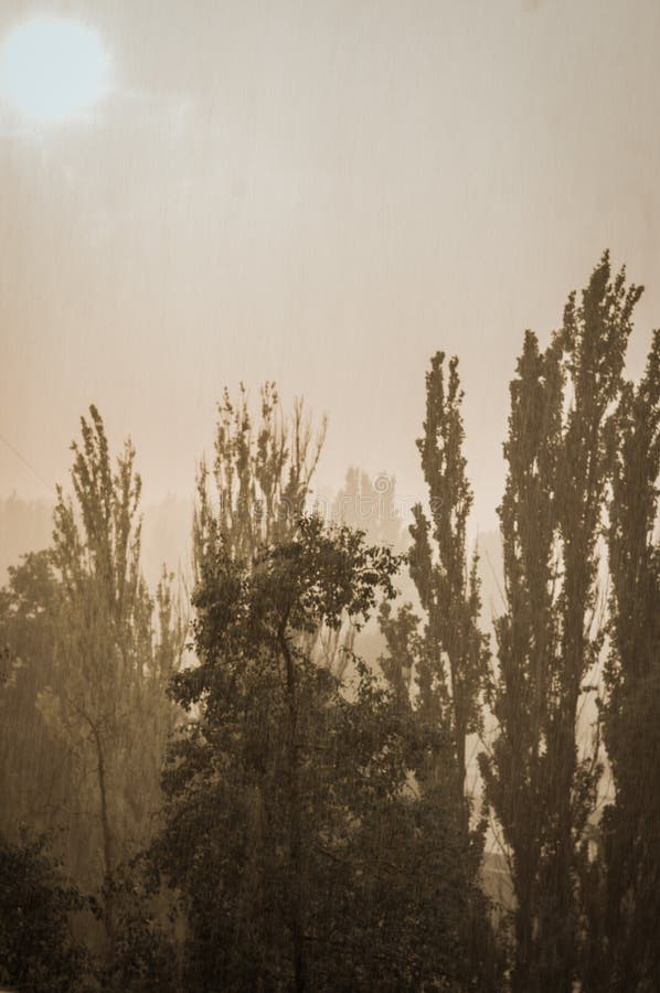 Landscape with Trees in Heavy Summer Rainstorm Stock Photo - Image of ...