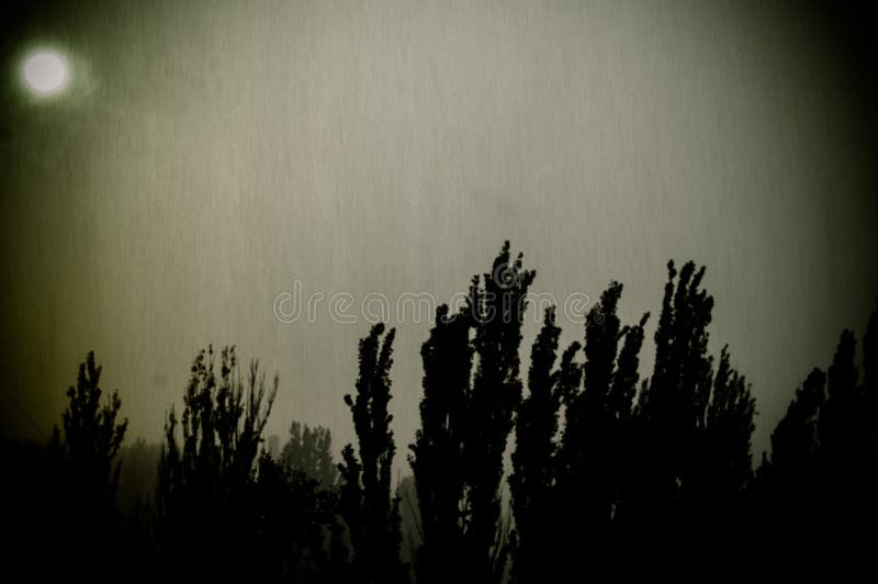 Landscape with Trees in Heavy Summer Rainstorm Stock Image - Image of ...