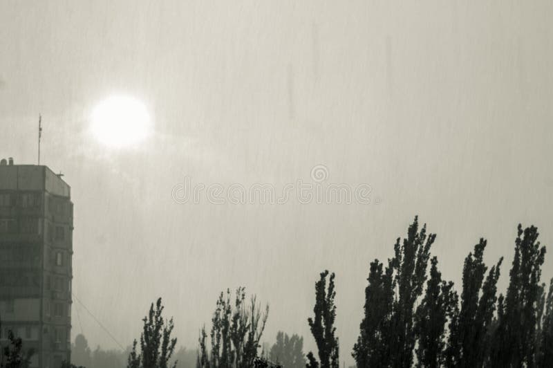Landscape with Trees in Heavy Summer Rainstorm Stock Image - Image of ...
