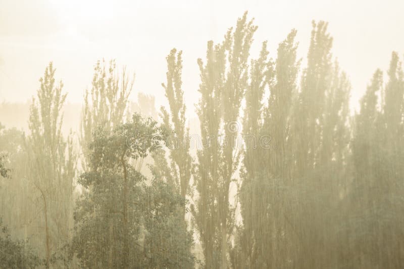 Landscape with Trees in Heavy Summer Rainstorm Stock Image - Image of ...