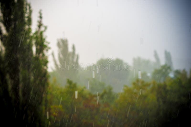 Landscape with Trees in Heavy Summer Rainstorm Stock Image - Image of ...