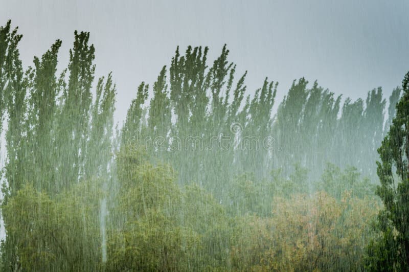 Landscape with Trees in Heavy Summer Rainstorm Stock Image - Image of ...