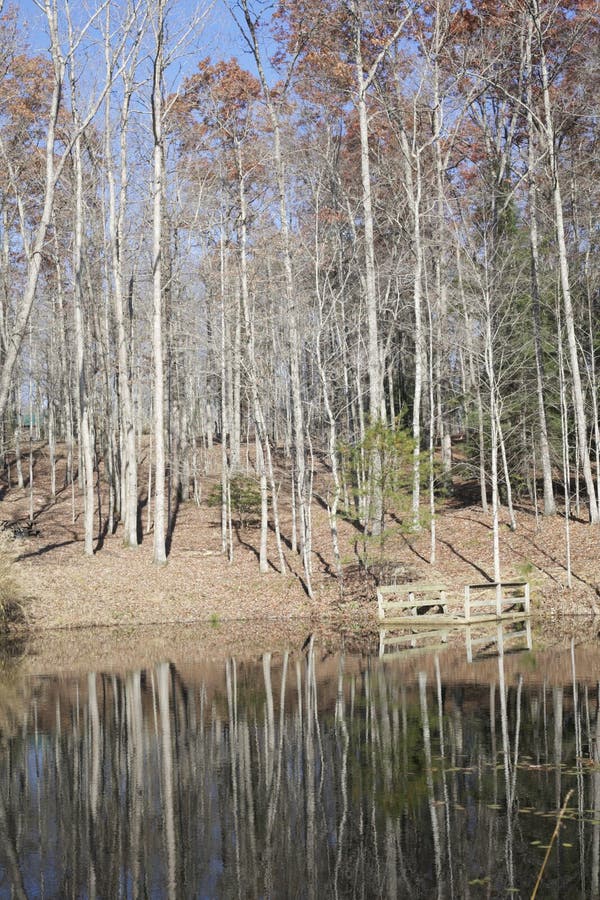 Red River Gorge Kentucky Pond in Winter Stock Image - Image of gorge ...