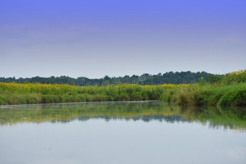 Landscape with with Trees, Lake and Blue Sky Stock Image - Image of ...