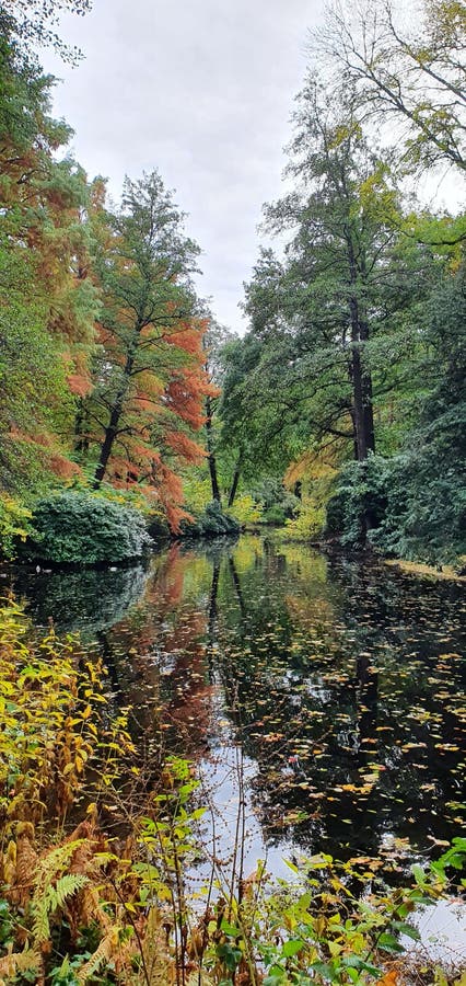 Landscape with Trees and Lake in the Park in Autumn Stock Photo - Image ...