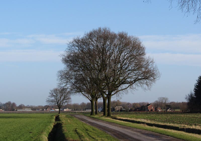 Landscape with Trees without Leaves Stock Photo - Image of trees ...