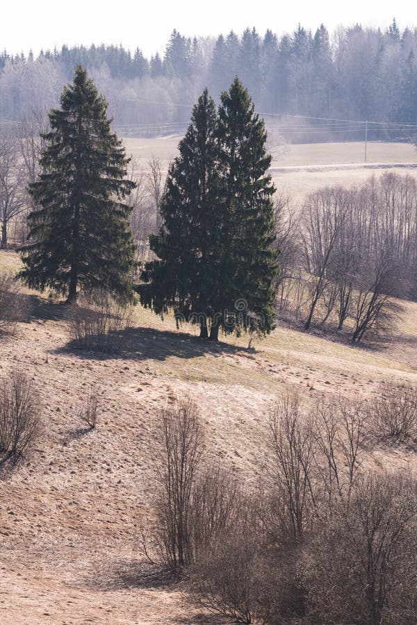 Landscape with Trees without Leaves Stock Image - Image of look, land ...