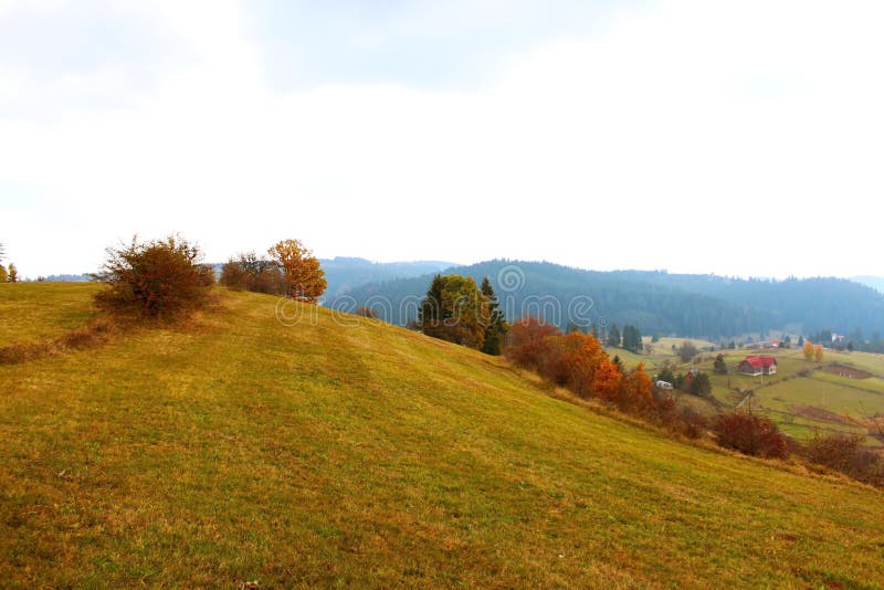 Landscape Trees and Meadows Dotted with Fall Colors. Stock Image ...