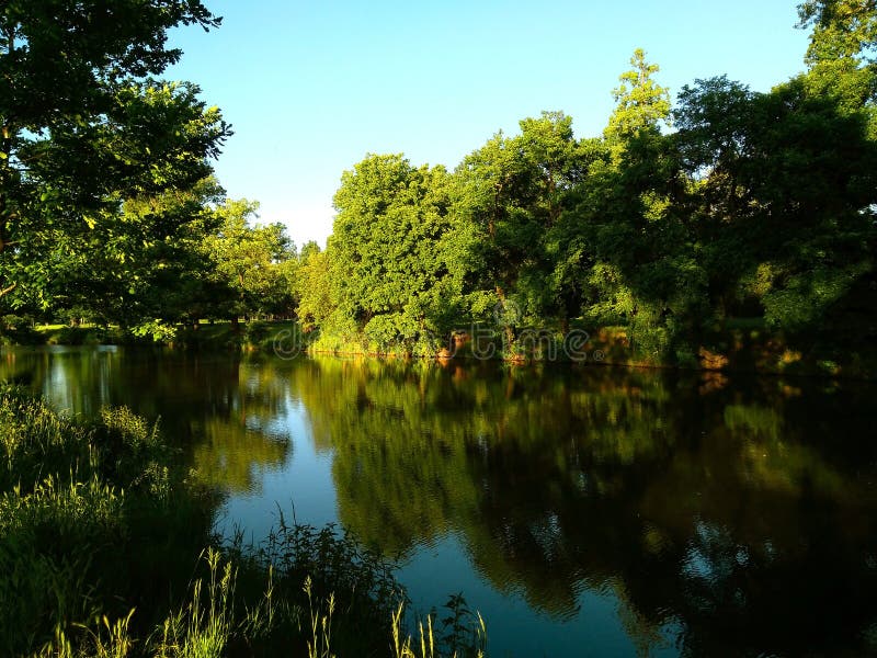 Landscape Trees Near the Water in the Park Stock Photo - Image of ...
