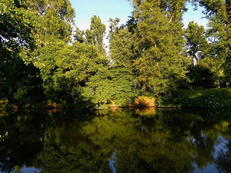Landscape Trees Near the Water in the Park Stock Image - Image of ...
