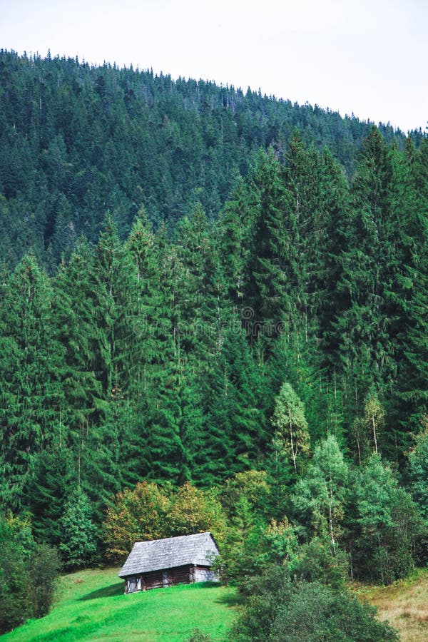 Landscape with Trees and Old Barn Stock Photo - Image of encourage ...