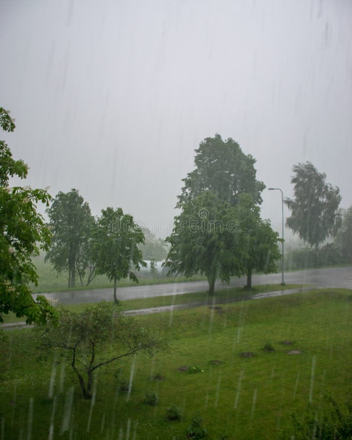 Landscape with Trees during Rain and Storm, the Wind Made the Picture ...