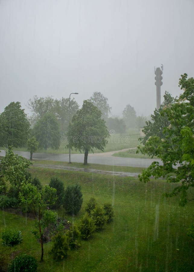 Landscape with Trees during Rain and Storm, the Wind Made the Picture ...