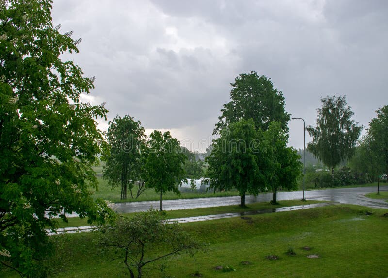 Landscape with Trees during Rain and Storm, the Wind Made the Picture ...