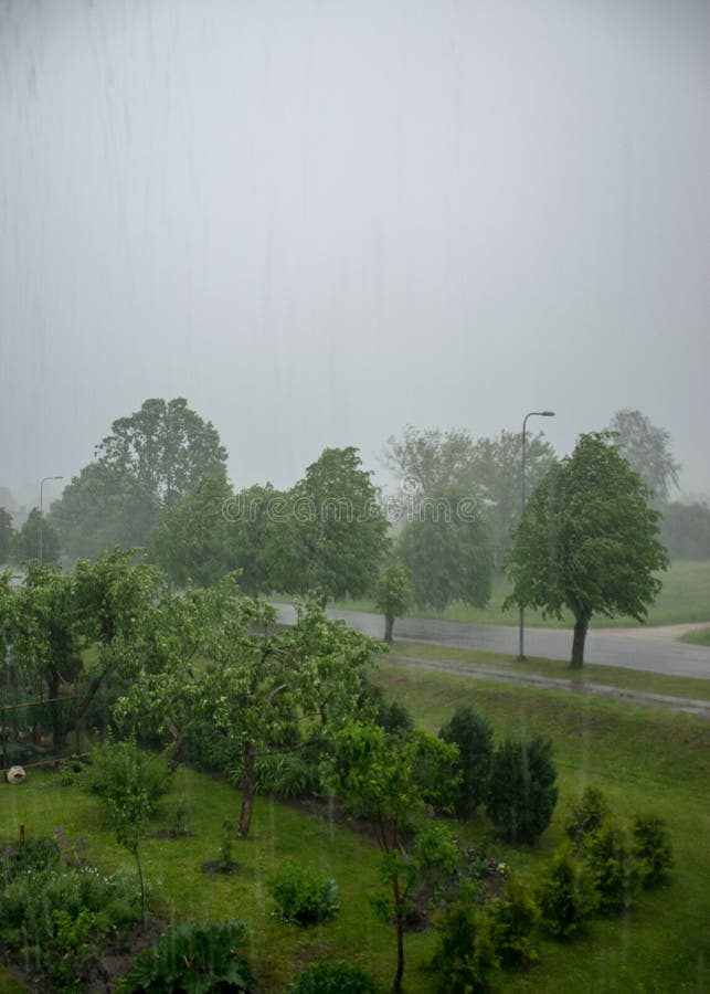 Landscape with Trees during Rain and Storm, the Wind Made the Picture ...
