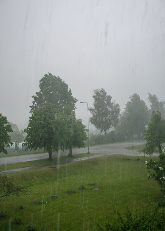 Landscape with Trees during Rain and Storm, the Wind Made the Picture ...