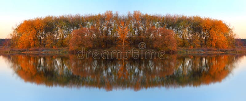 Trees Reflecting in Puddle of Rain Water Stock Image - Image of stones ... Trees Reflecting in Puddle of Rain Water Stock Image - Image of stones ...