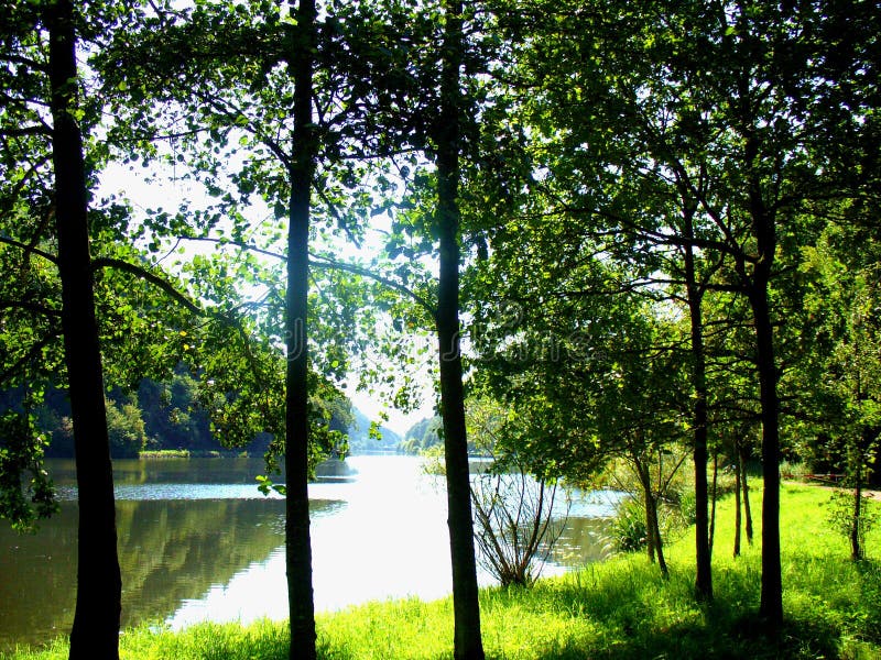 Landscape with Trees and the River (Rhein) Stock Photo - Image of trees ...