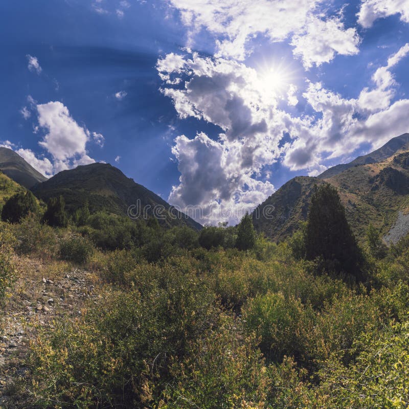 Landscape with Trees in Valley in Mountains Under Sky with Sun and ...
