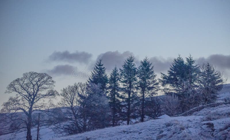 Snowy scenery stock photo. Image of imagery, trees, snowy - 265521700
