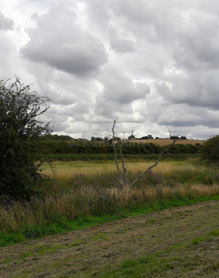 Landscape Treeton Rotherham Stock Image - Image of treeton, fields ...