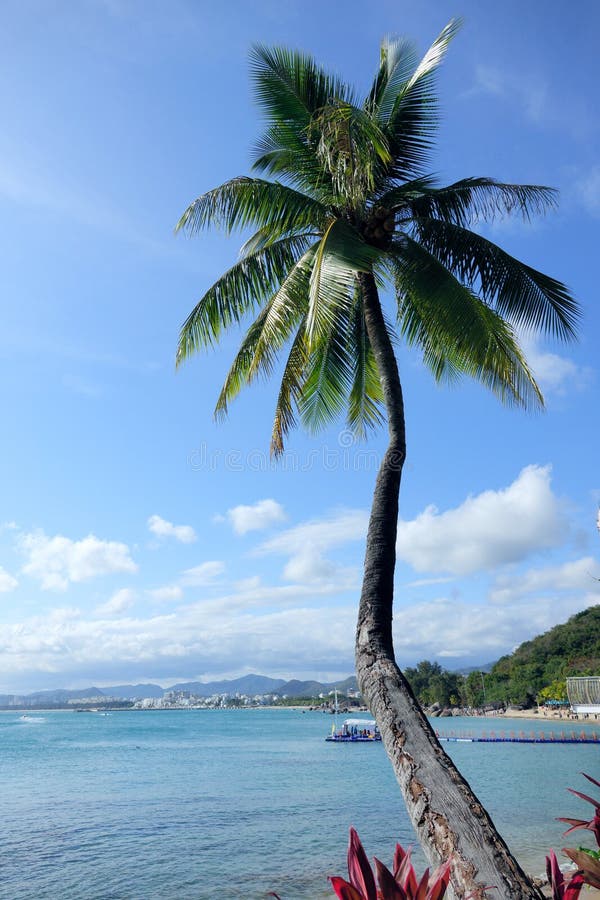 Tropical Coastal Scenery stock image. Image of tropic - 366911099