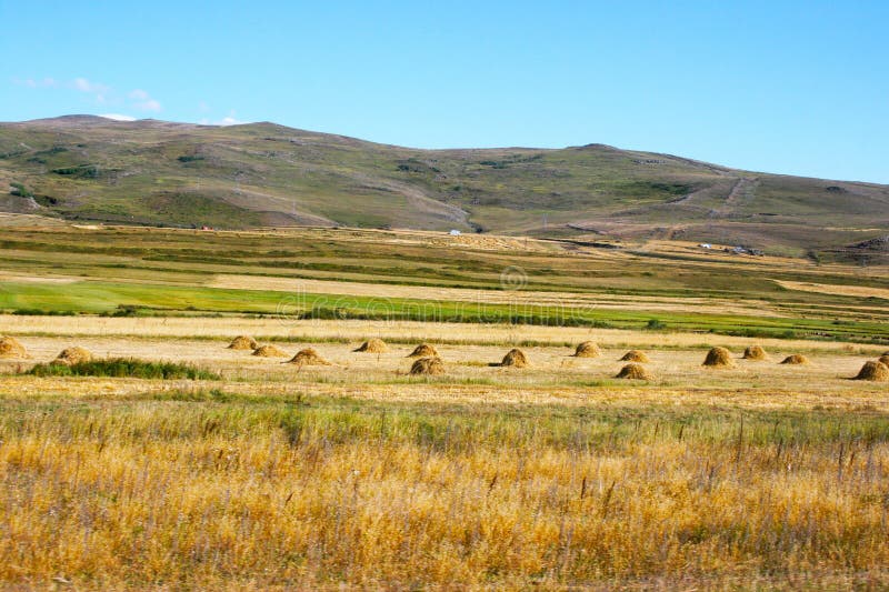 Landscape in Turkey stock image. Image of grass, nature - 26836509