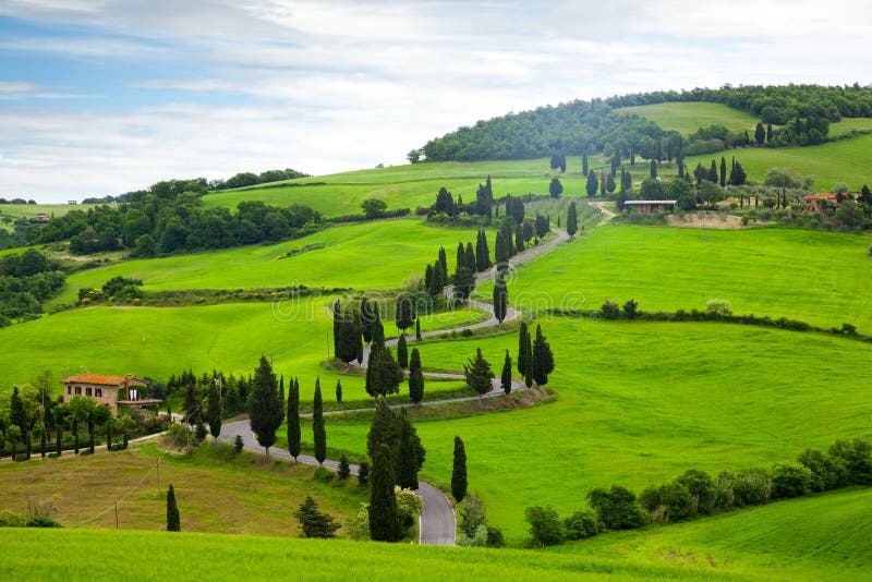 Landscape of Tuscany with Twisting Road and Cypresses Stock Image ...