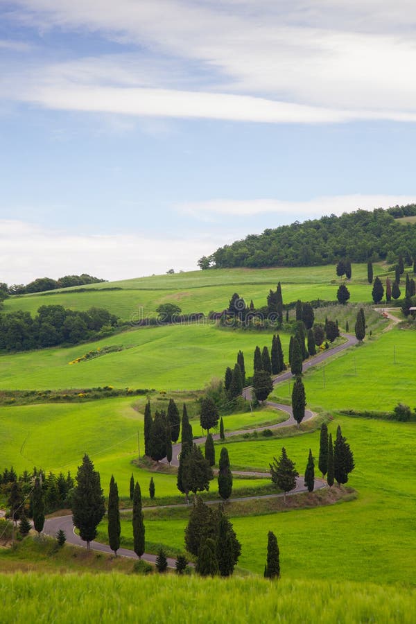 Landscape of Tuscany with Twisting Road and Cypresses Stock Image ...