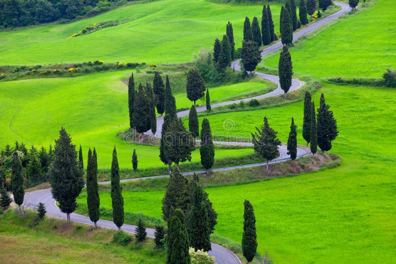 Landscape of Tuscany with Twisting Road and Cypresses Stock Photo ...