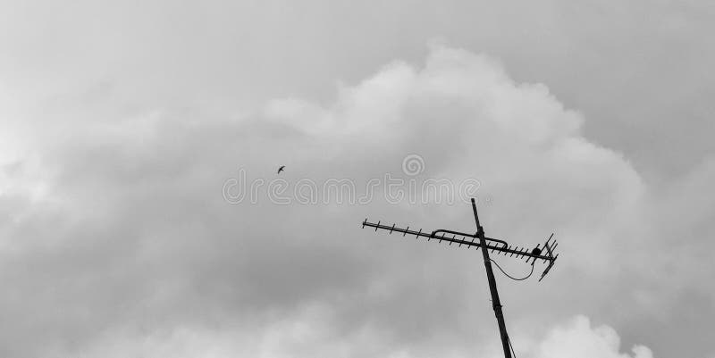 Tv Antenna and Birds Flying Over the Cloudy Sky Stock Photo - Image of ...