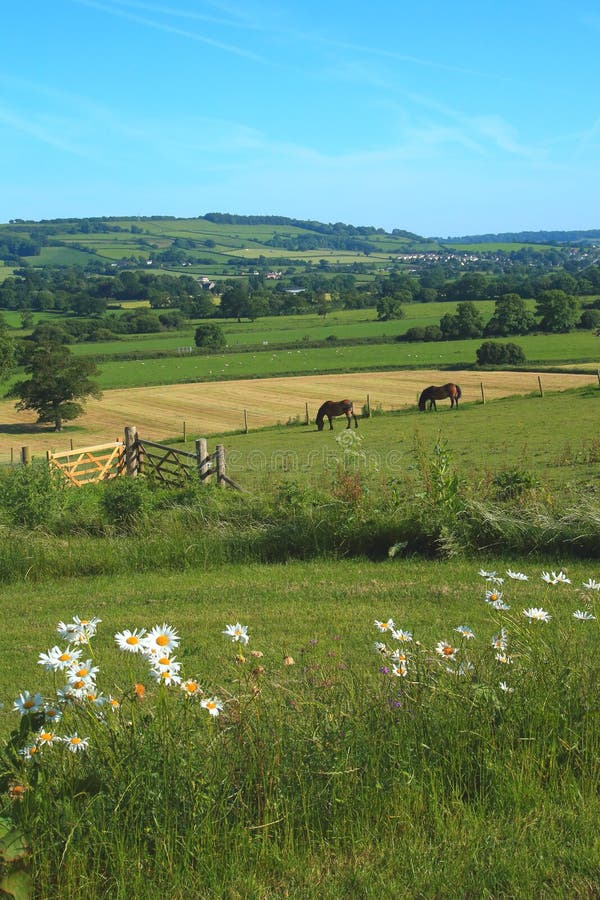 Landscape stock photo. Image of beautiful, green, scenic - 94961176