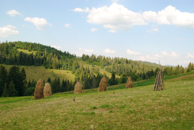 Landscape of Ukraine stock image. Image of grassland - 58247153