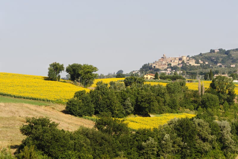 Landscape in Umbria Near Todi Stock Image - Image of ancient, outdoor ...