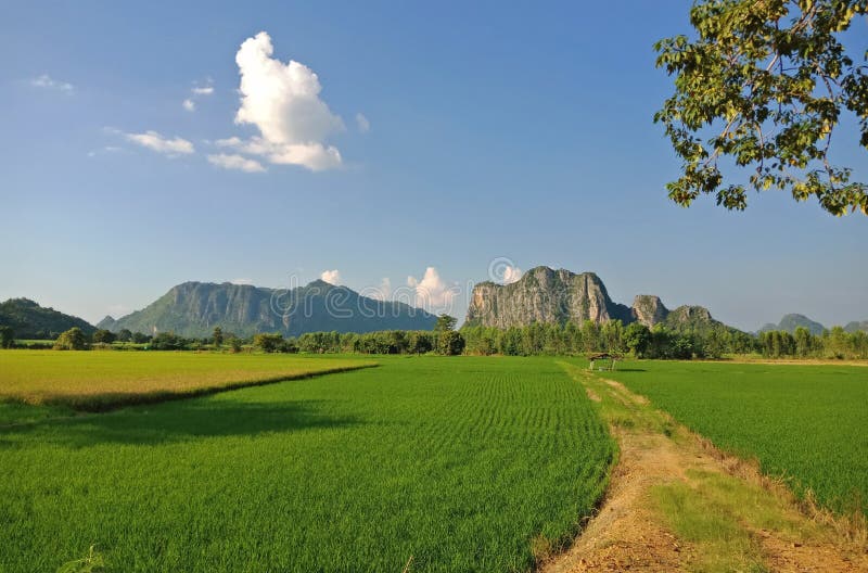 Landscape in the upcountry stock photo. Image of landscape - 128799684