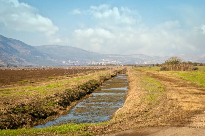 Landscape of the Upper Galilee. Israel. Stock Photo - Image of hulah ...