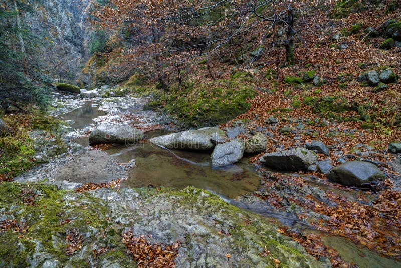 Landscape from Valea Lui Stan Gorge Stock Image - Image of canyon, moss ...