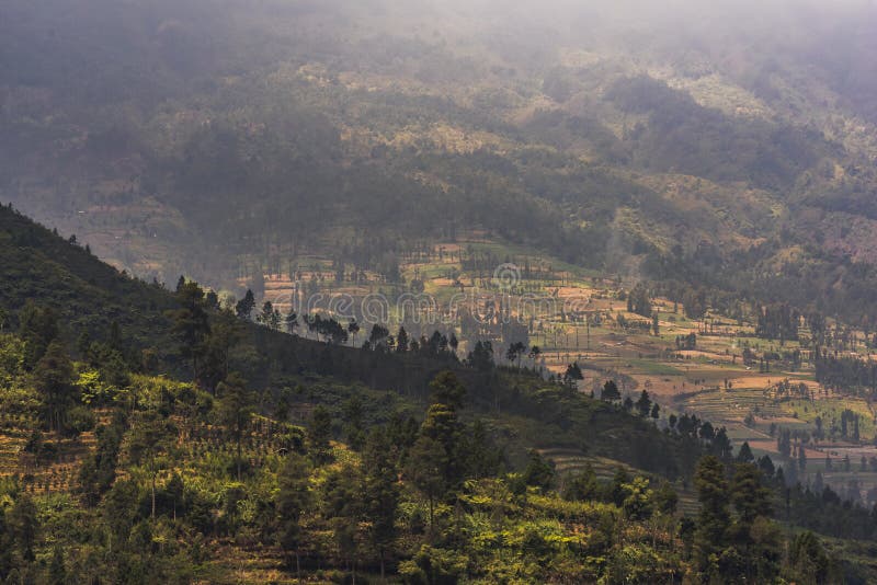 Landscape of Vegetable Farm in Dieng Plateau Stock Photo - Image of ...