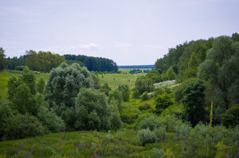 Landscape vegetation. stock image. Image of horizon, italy - 74056647