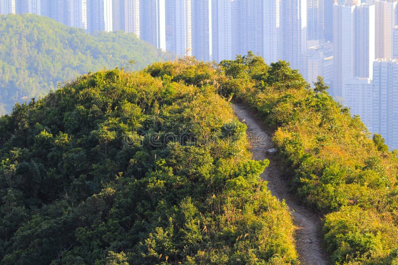 The Landscape of Vegetative, the Nature Concept Stock Photo - Image of ...