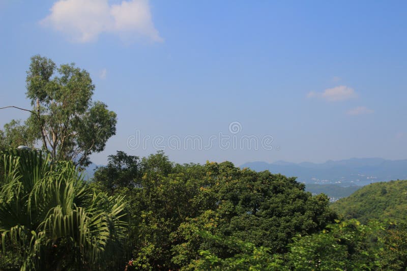 The Landscape of Vegetative, the Nature Concept Stock Photo - Image of ...
