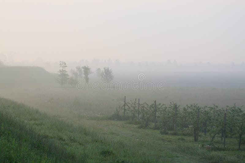 Landscape of the Veneto Plain at Dawn Stock Photo - Image of mist ...