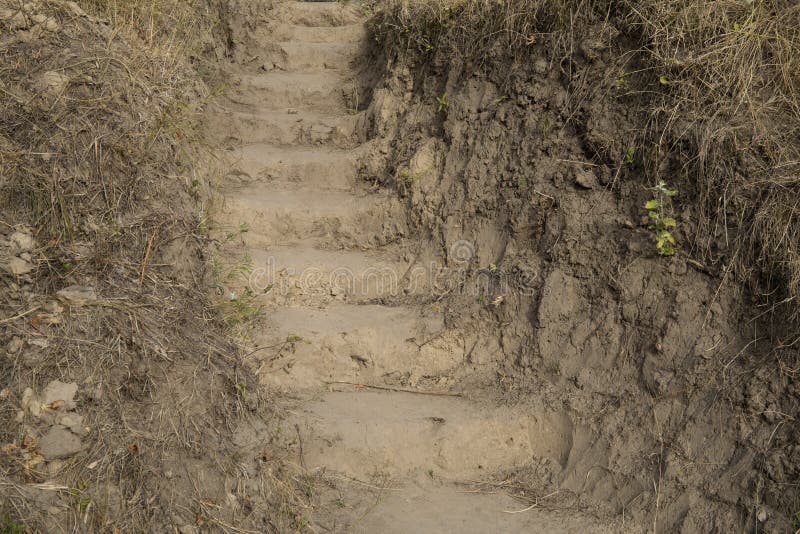 Earthen Steps on a Path in a Park Stock Photo - Image of rainforest ...