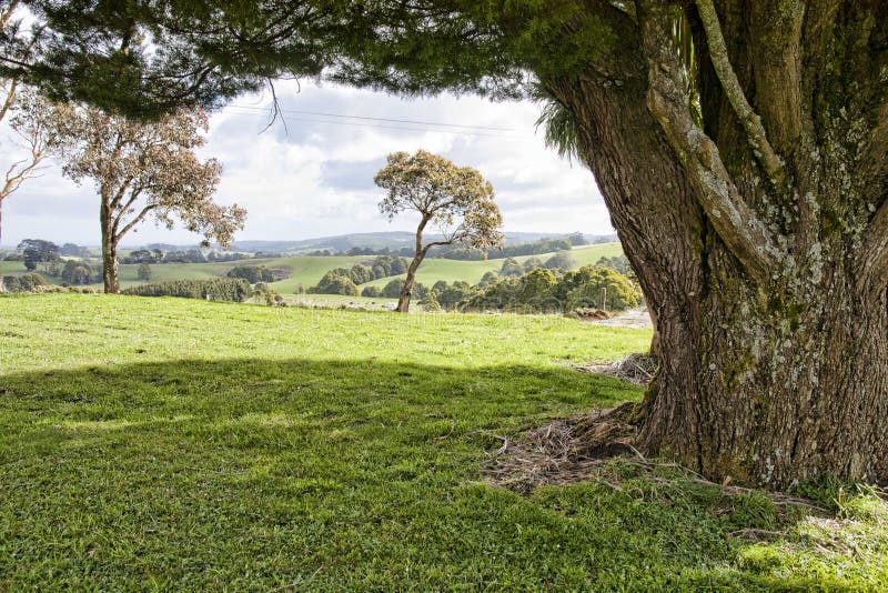 Landscape Victoria, Australia. Stock Photo - Image of contrast, trees ...