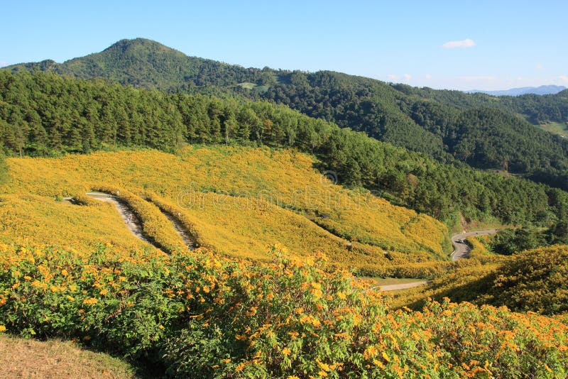 Landscape View stock photo. Image of nature, highway - 24126268