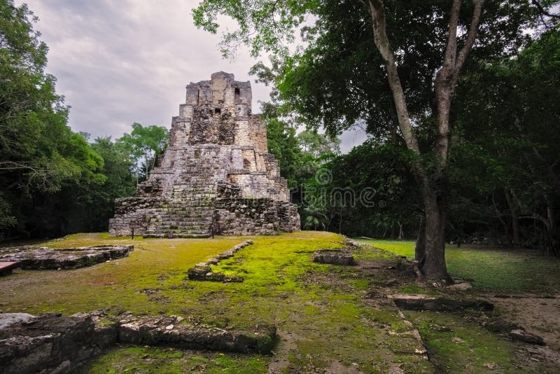 Landscape View of Ancient Mayan Temple in the Forest, Mexico Stock ...