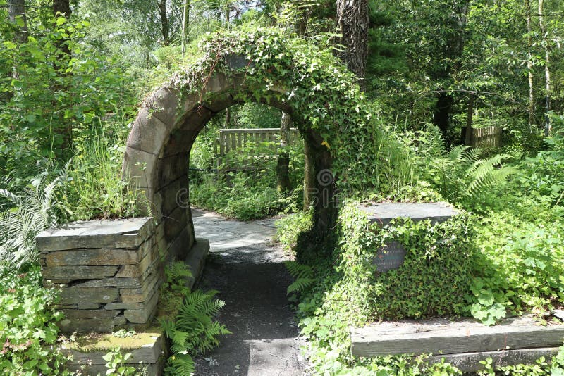 Landscape View of an Arch Covered by Green Leaves in Garden Stock Image ...